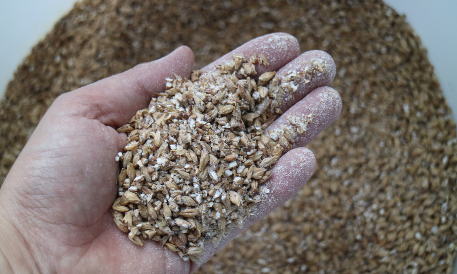 Mout schroten: de essentiële stap voor het maischen - Hopblog.nl